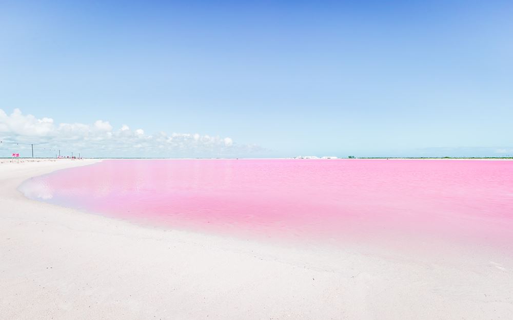 Jour 1 : une visite passionnante